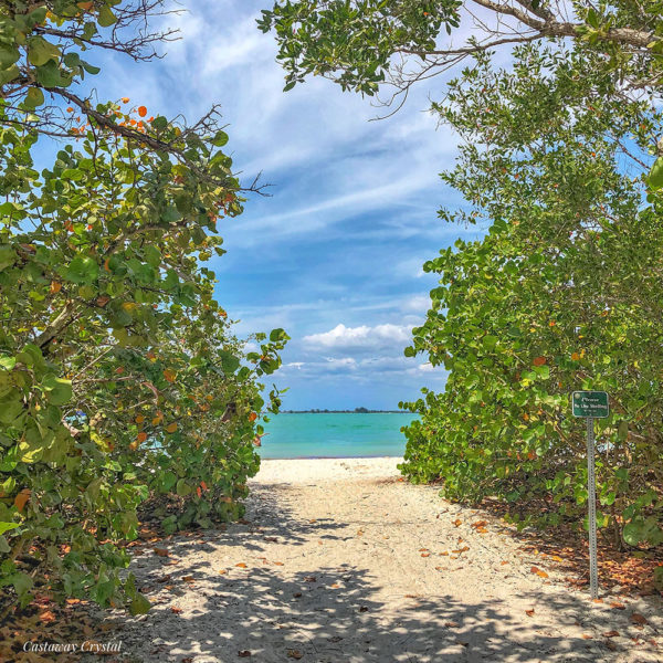 Top 8 Things To Do On Sanibel and Captiva Island